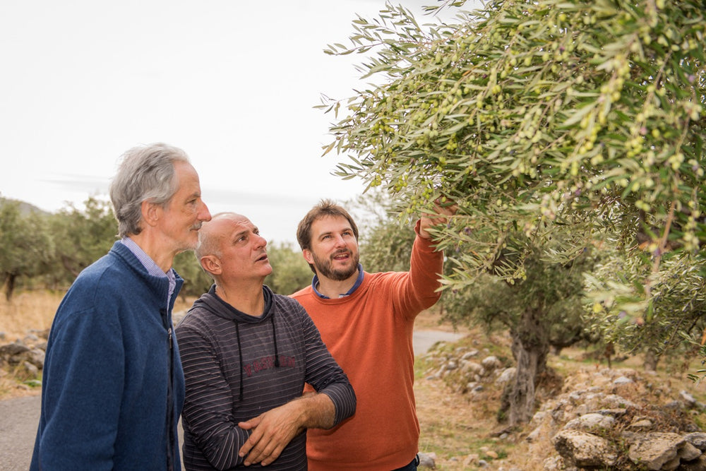 Greek meze: Info & Recipes | MANI