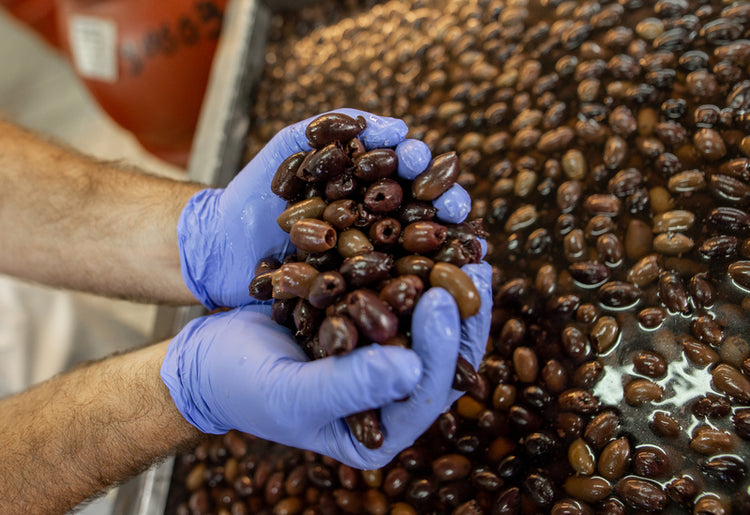 Kalamata Olives » Origin and characteristics | MANI